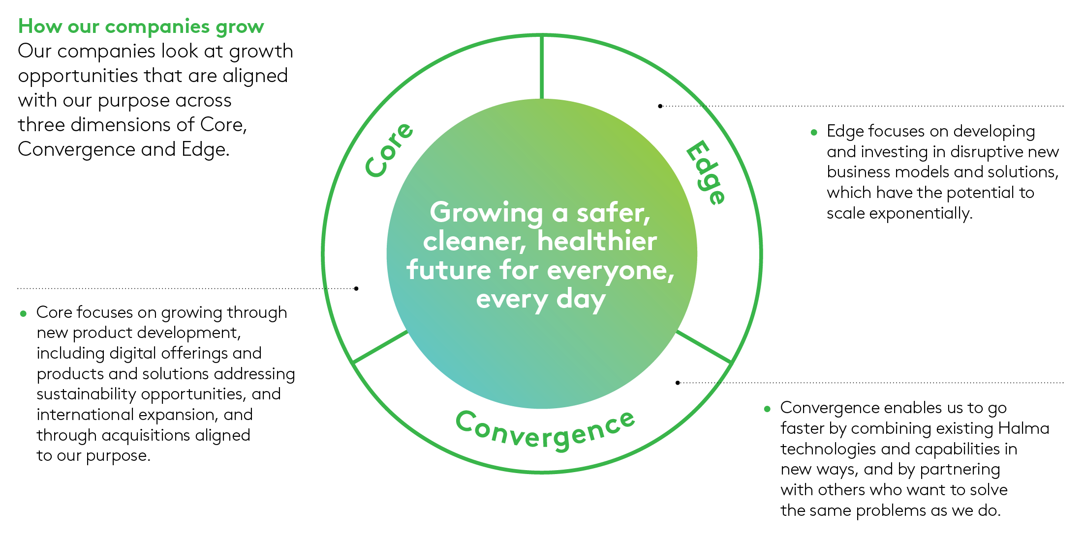 Our growth strategy – Halma plc